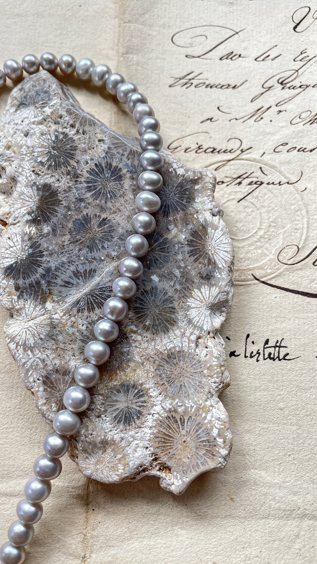 Fossil Coral Slice Natural Agatised Fossil Coral Slab Natural Stone ...