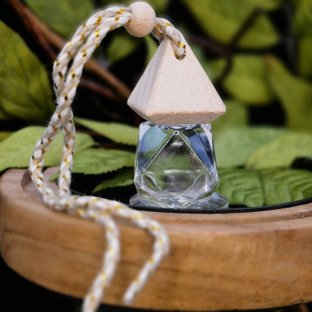 Hanging Car Oil Diffuser | Car Air Freshener | Fall Auto Fragrance ...