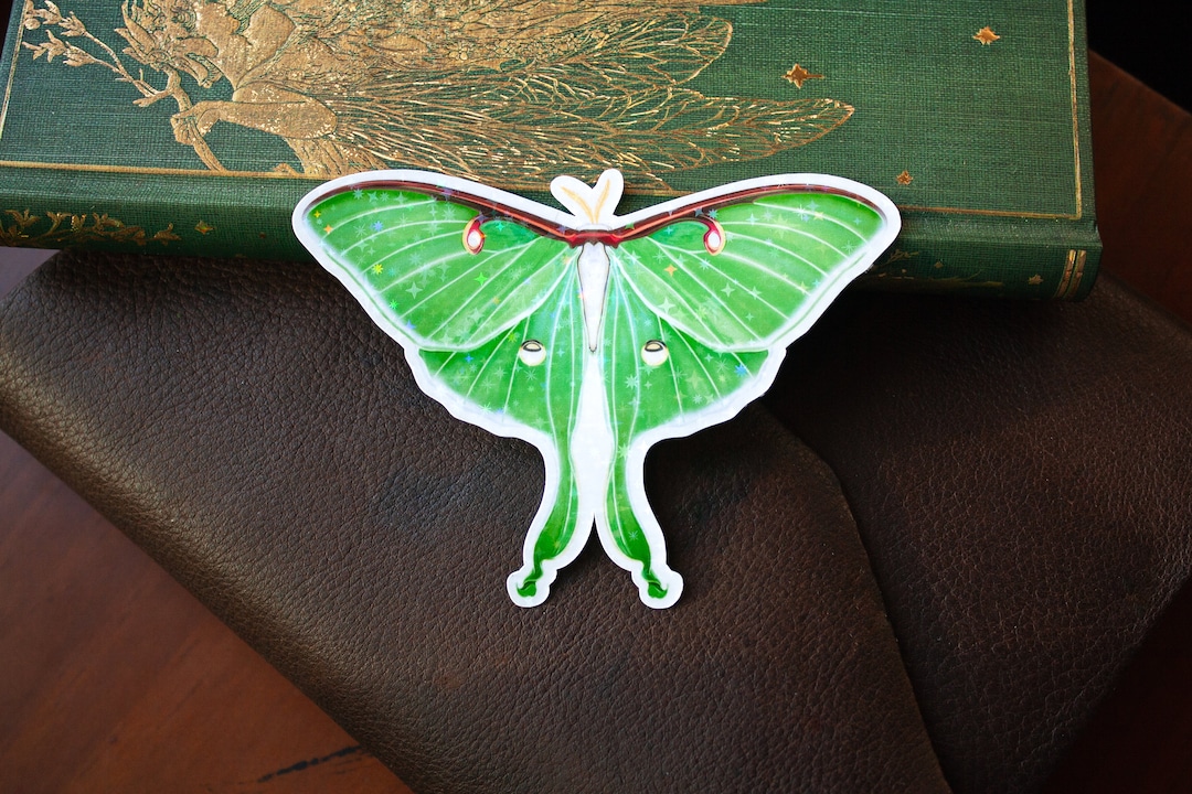 Luna Moth Vinyl Sticker | Holo Butterfly Laptop Sticker | Forestcore ...