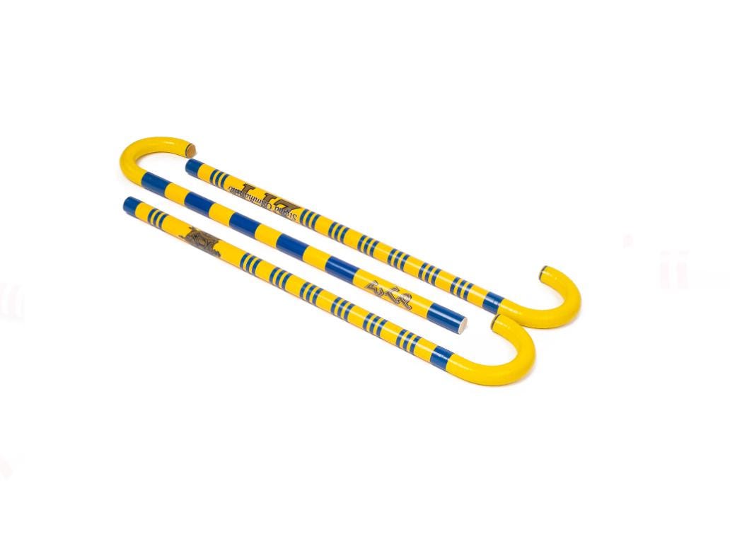 Sigma Gamma Rho Cane - Thin Stripe Large SGRHO - Etsy