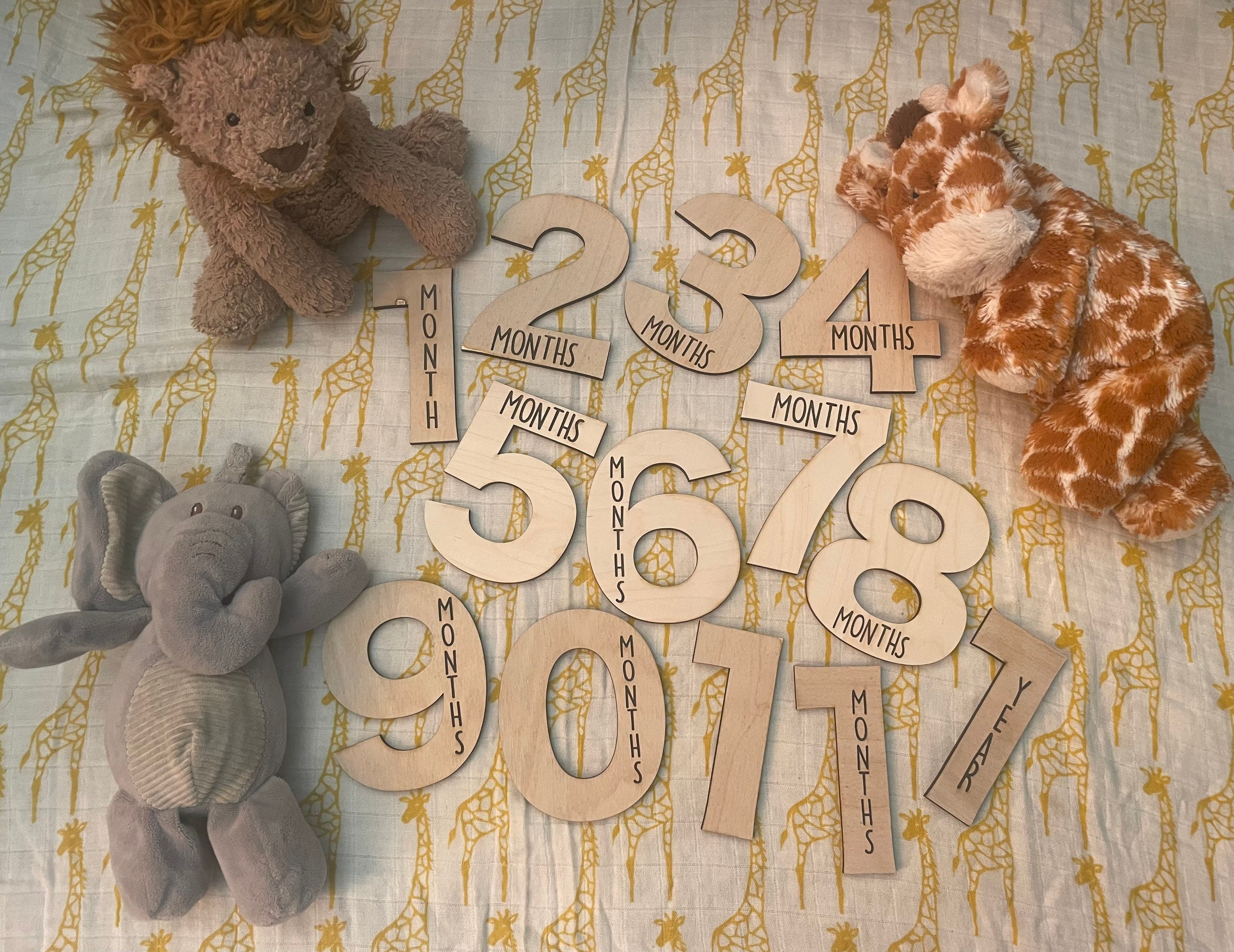 Baby Milestone Cards; Milestone Numbers; Monthly Baby Photo Prop; Wood ...