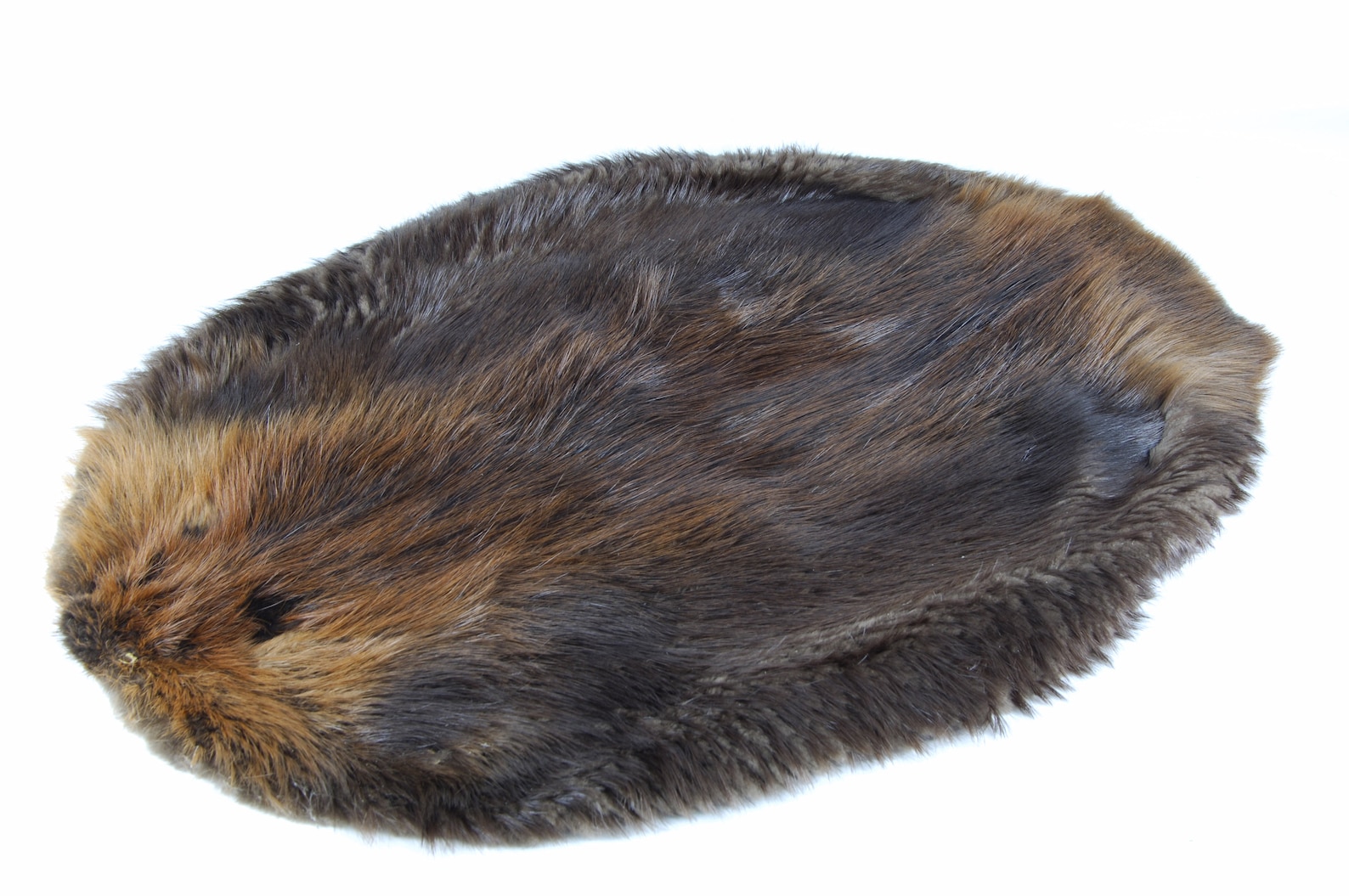 Piel de castor pelt / Piel de castor genuino / Pelt piel | Etsy