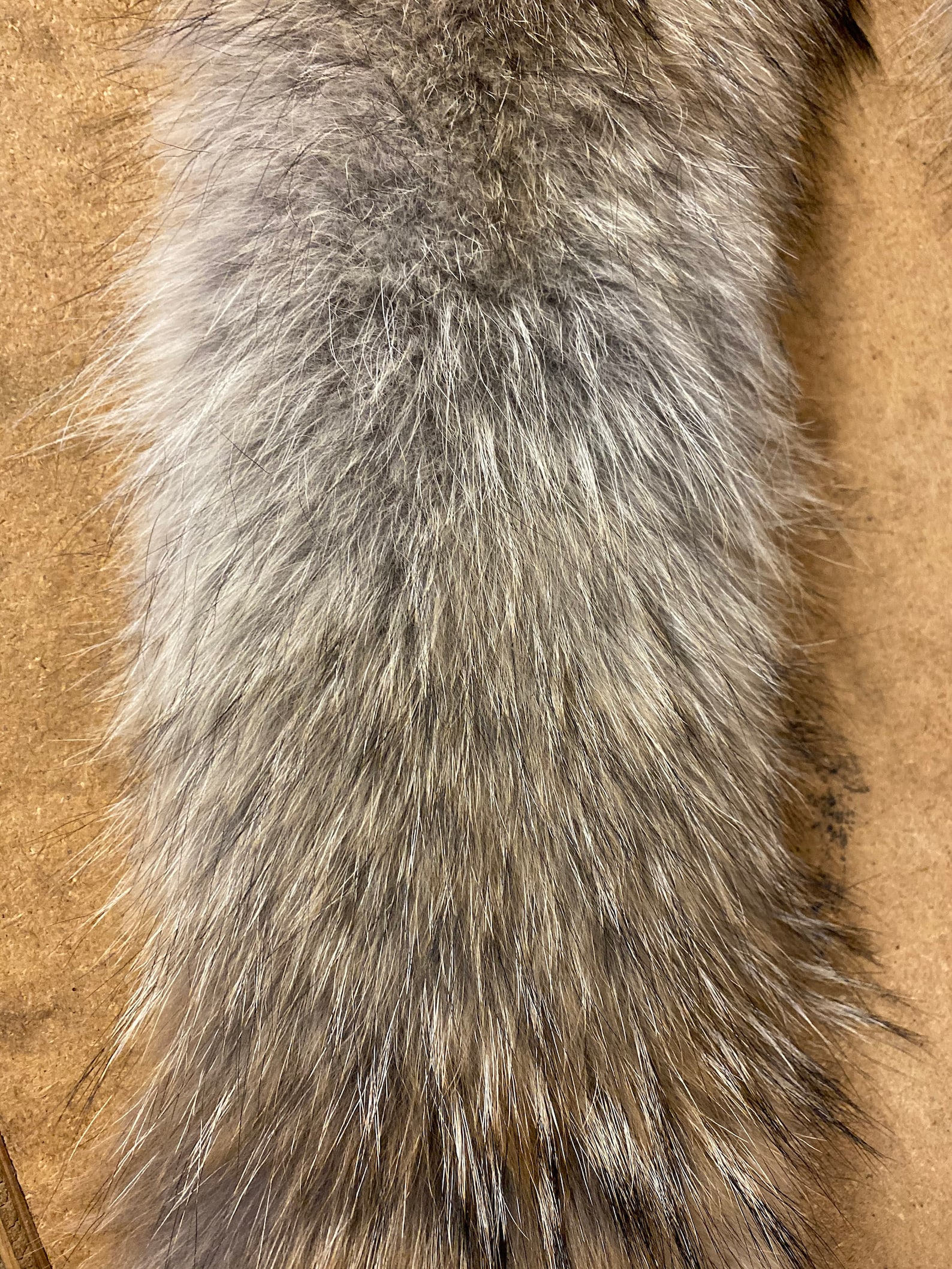 Coyote Fur Parka Strip Real Fur Trim Hood Canada Goose Replacement ...