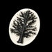 Small Tree Fondant Cake Silicone Mold DIY Baking Tool - Etsy