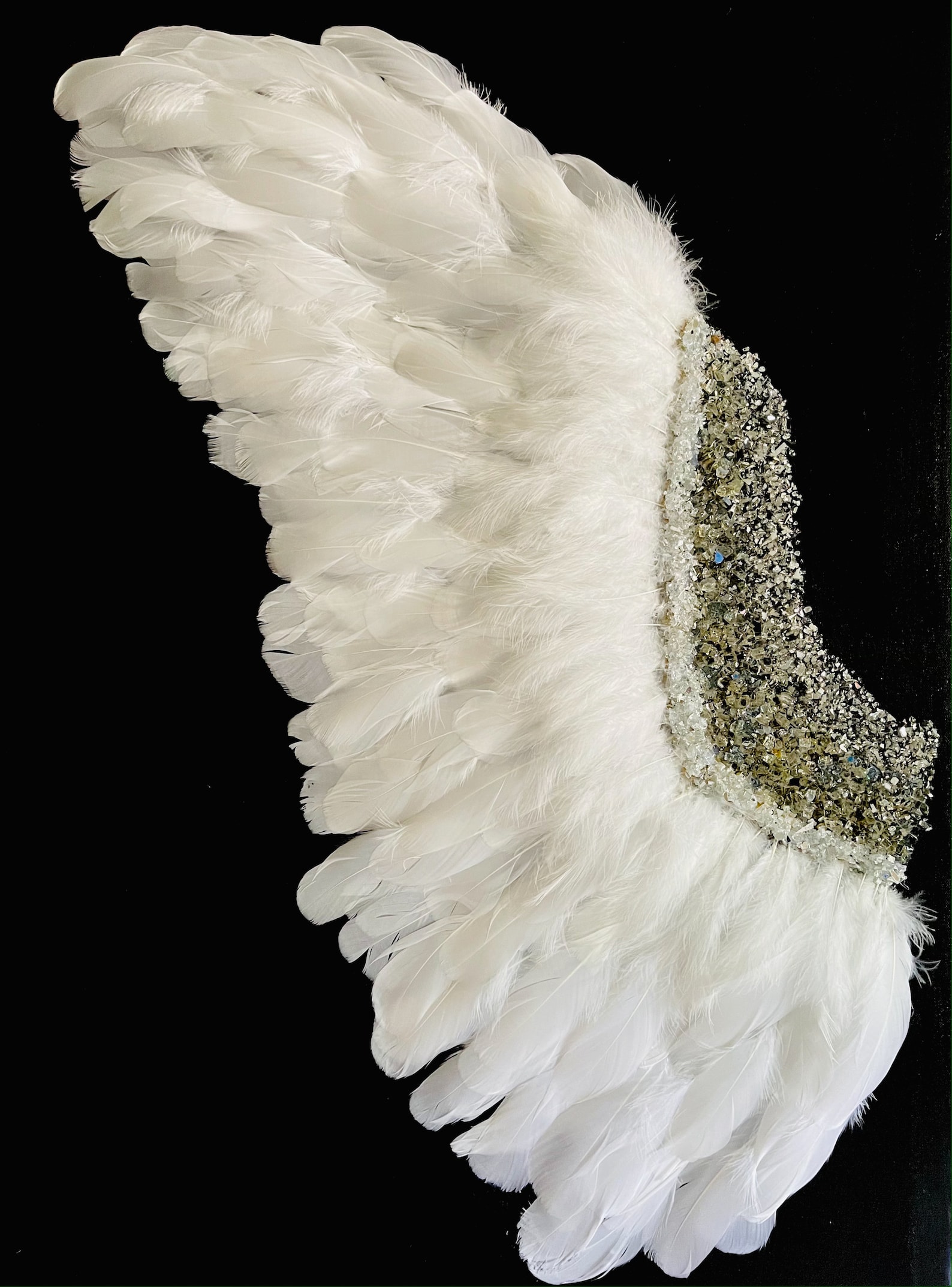 1 Piece Black and White Feather Angel Wings on Canvas - Etsy