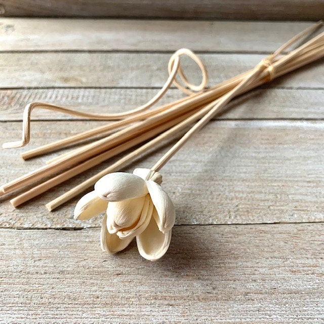 Luxury Mouth Blown Glass Reed Diffuser Set With Handmade Fragrance ...