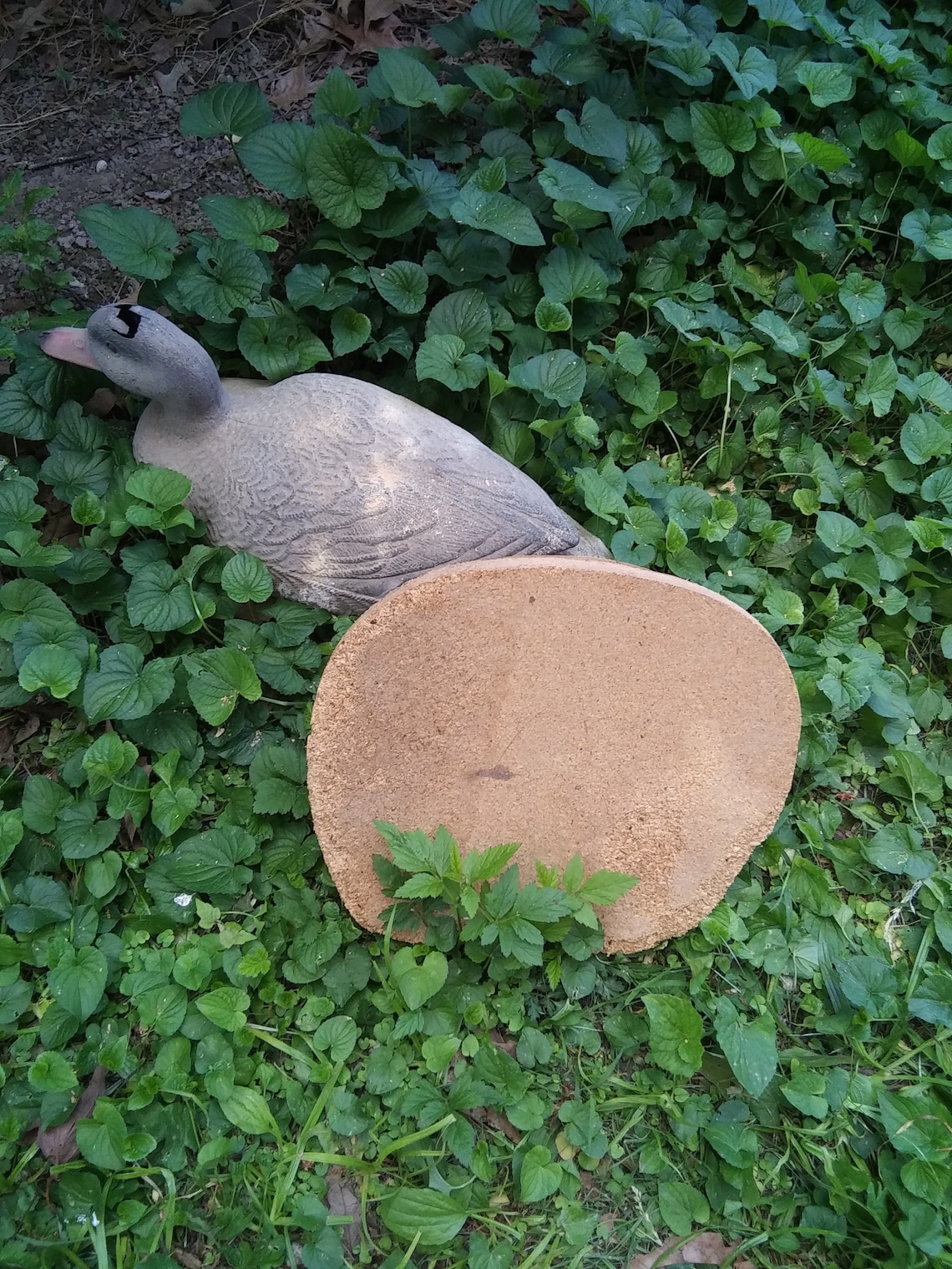 Deer Rump Rear End Taxidermy Foam Form Art - Etsy UK