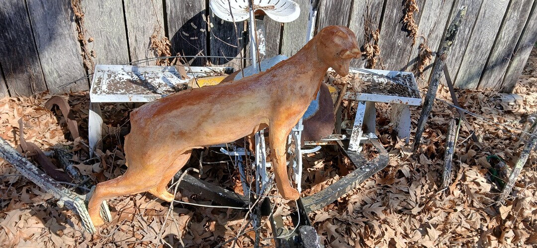 Bobcat Taxidermy Form Art - Etsy