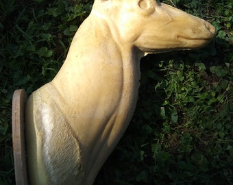 Deer Head Taxidermy - Etsy