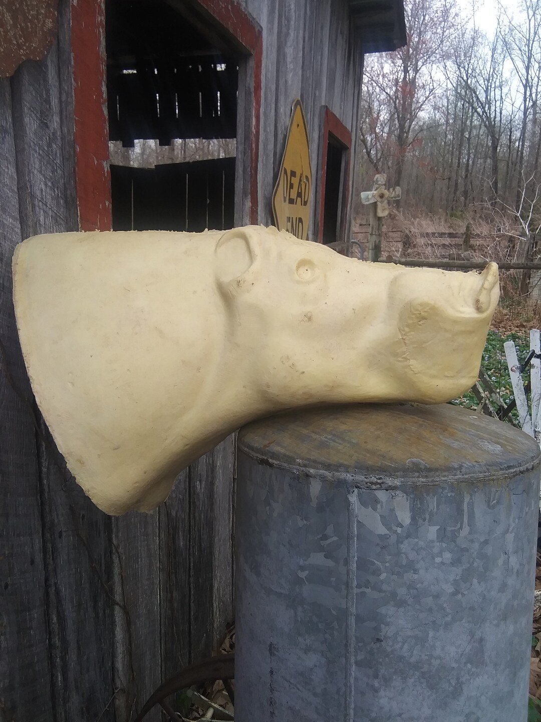 Wild Boar Pig off Shoulder Taxidermy Foam Art Mount - Etsy