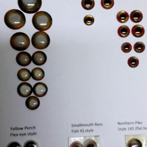 Tohickon Taxidermy Fish Eyes - Etsy