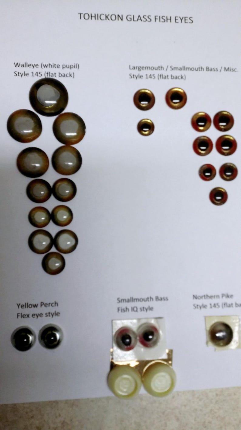 Tohickon Taxidermy Fish Eyes - Etsy