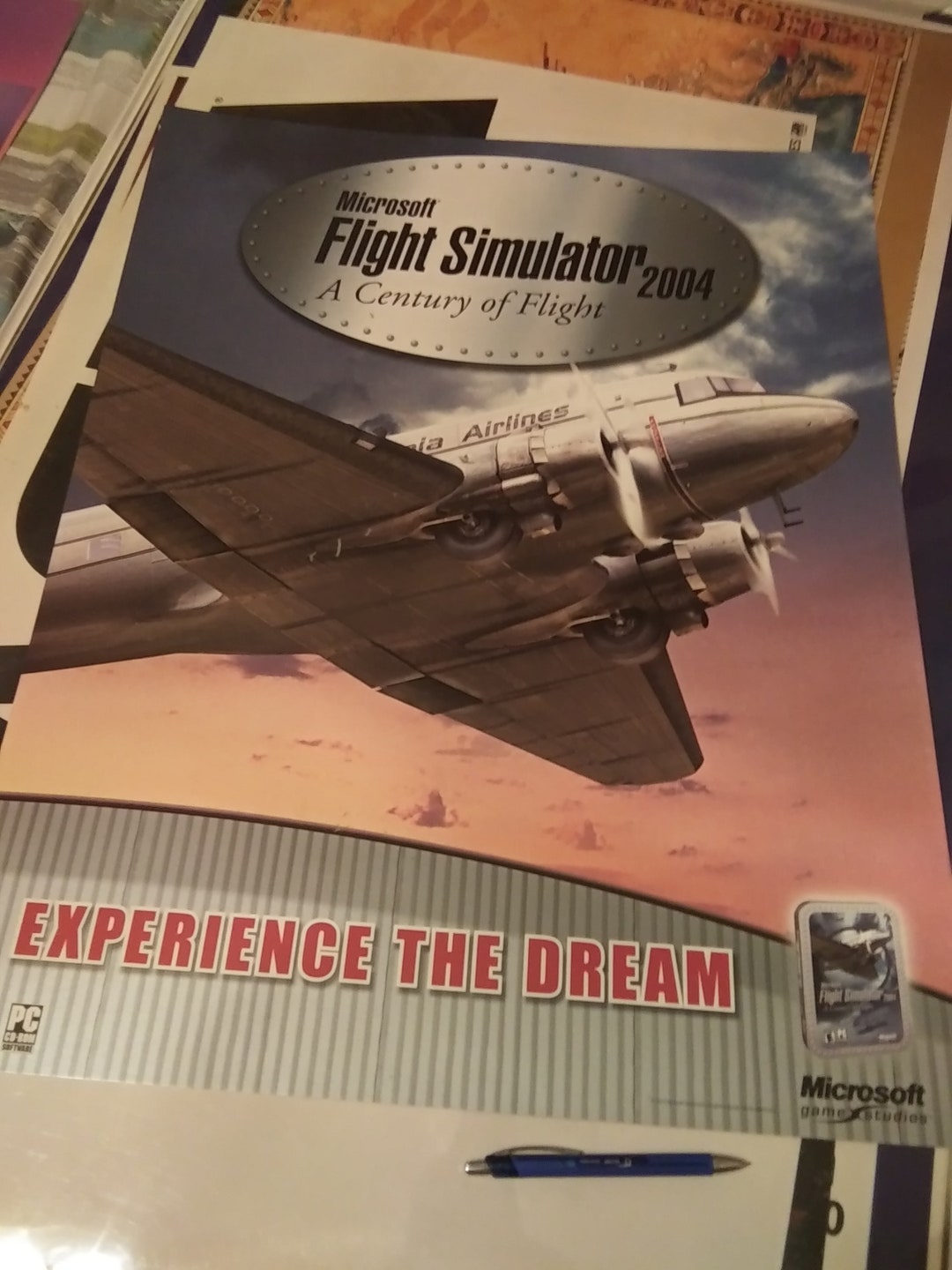 Aviation Flight Simulator Poster - Etsy