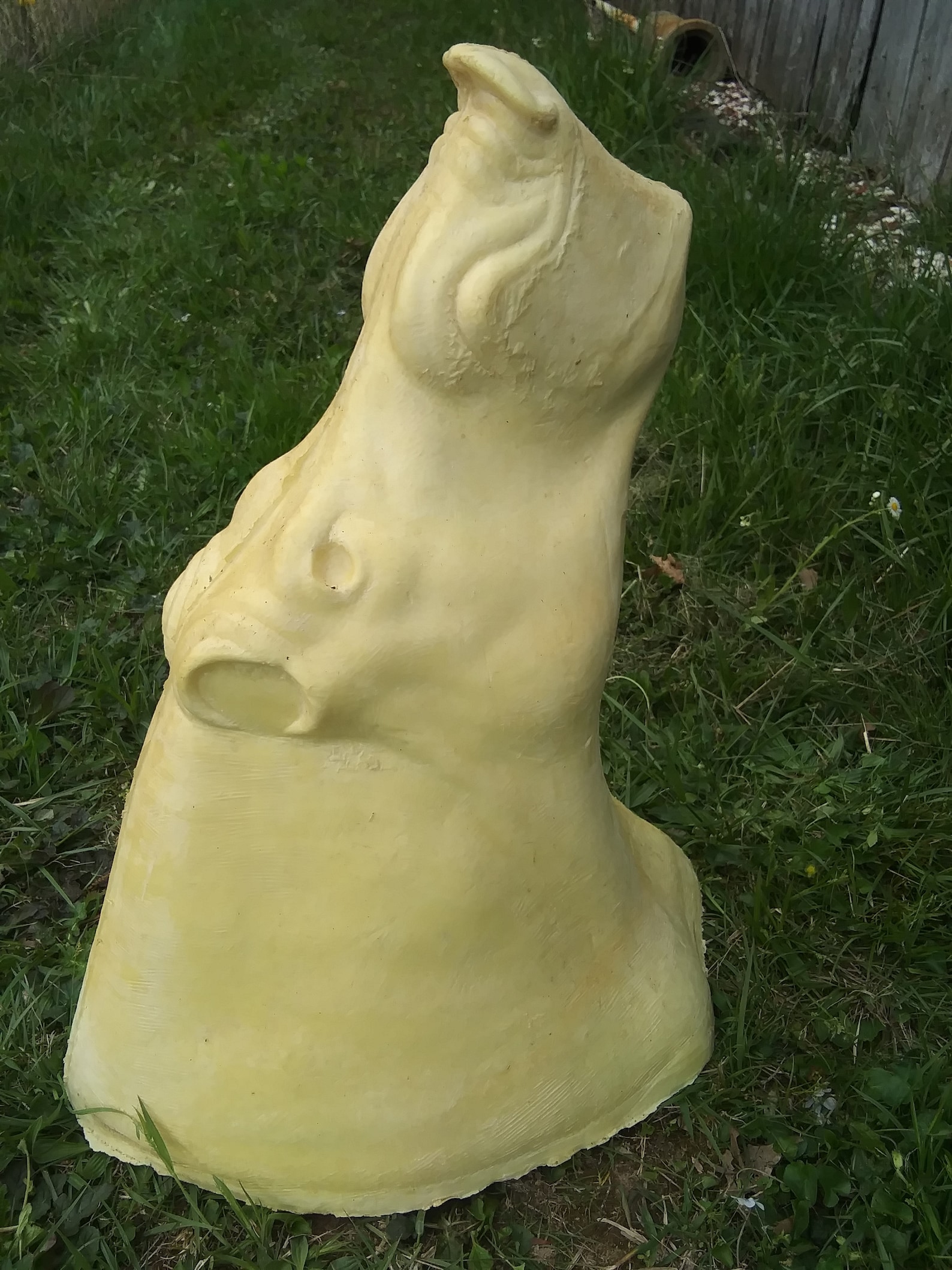 Wild Boar Pig Taxidermy Off-set Shoulder Foam Mount Art Piece - Etsy
