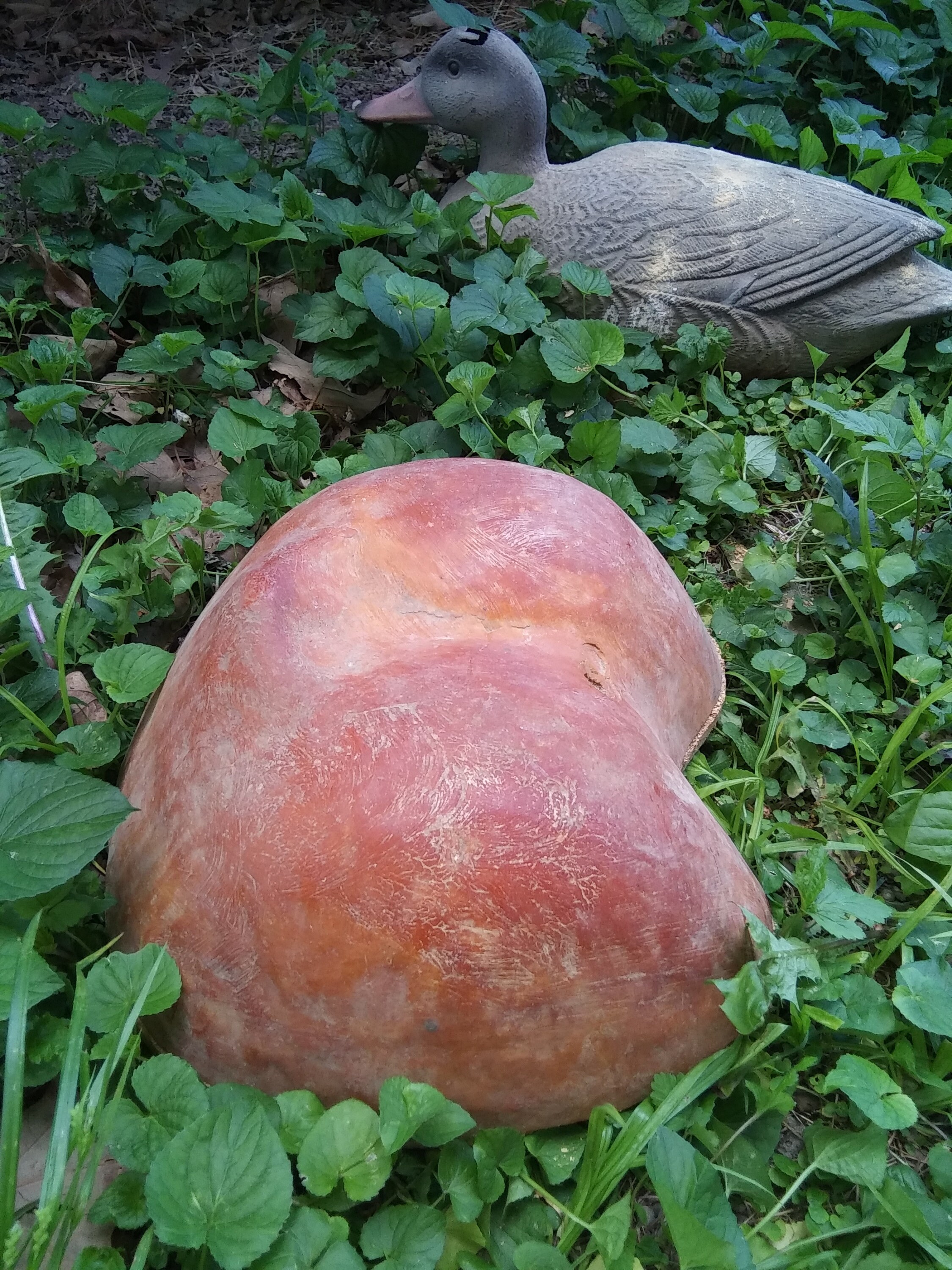 Deer Rump Rear End Taxidermy Foam Form Art - Etsy UK