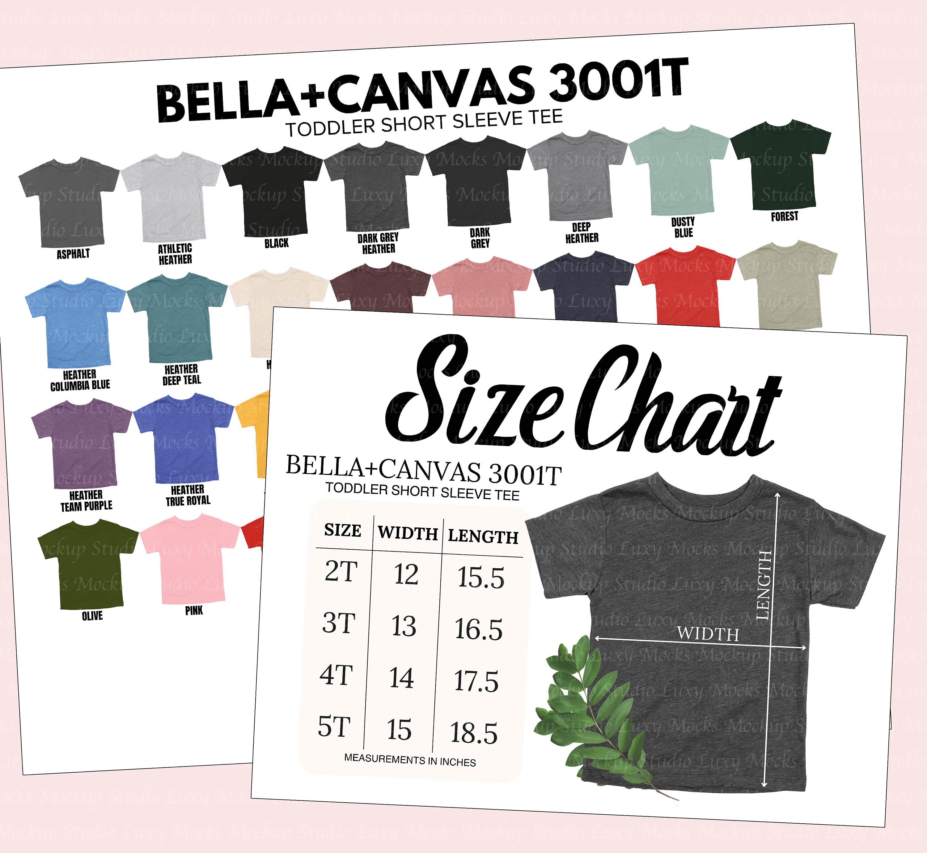 Bella Canvas 3001T Front and Back PNG Transparent Mockup Bundle + Color ...