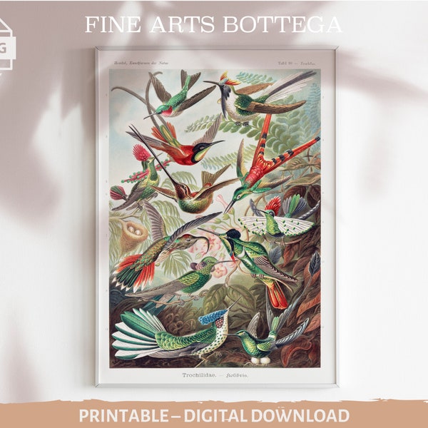 Scientific Bird Poster - Etsy