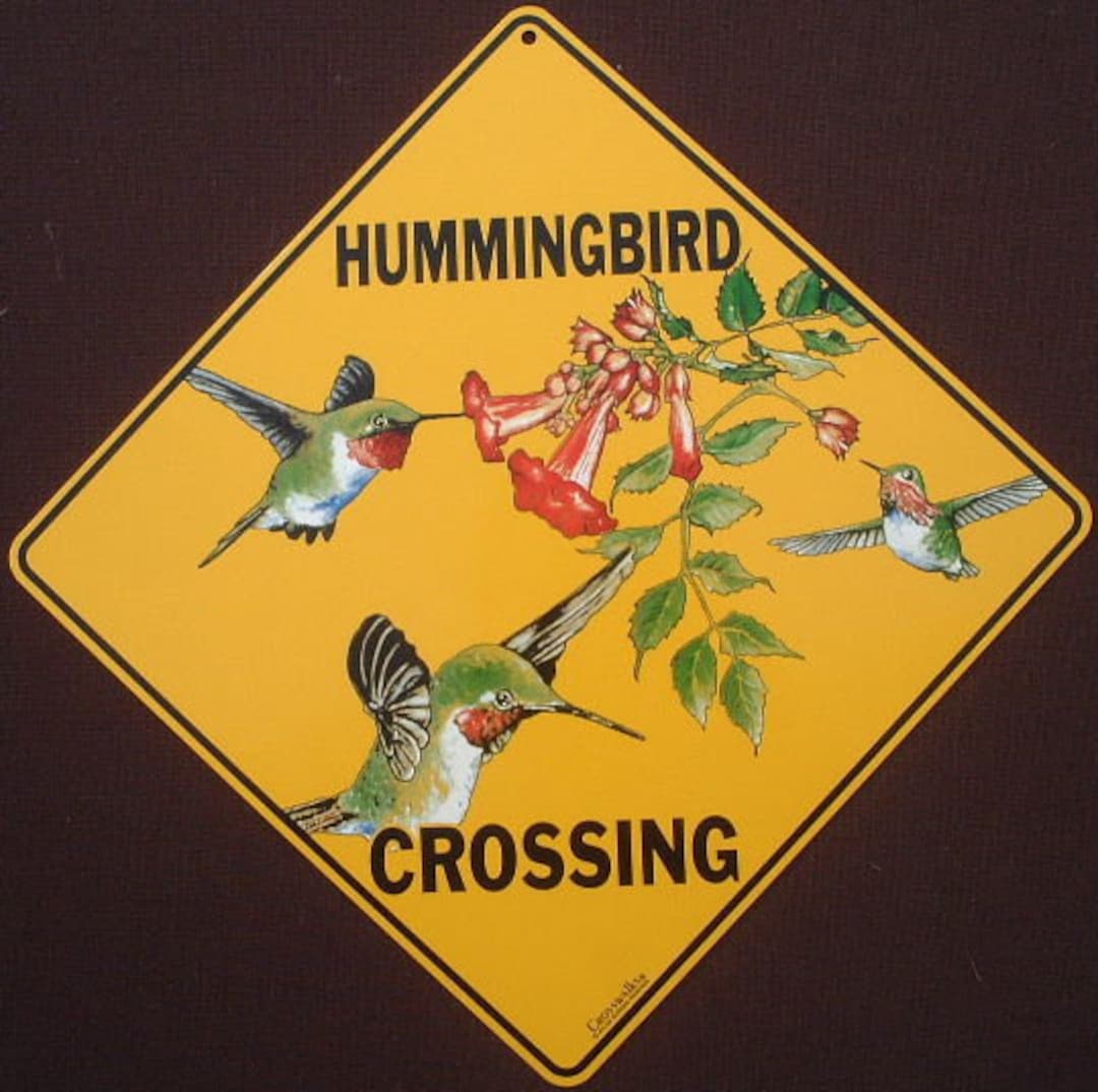 HUMMINGBIRD CROSSING SIGN 16 1/2 by 16 1/2 New Birds Decor Novelty ...