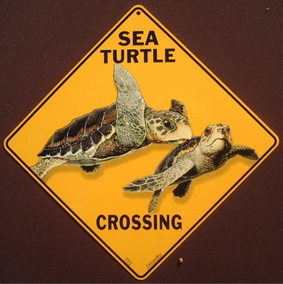 Turtle Sign