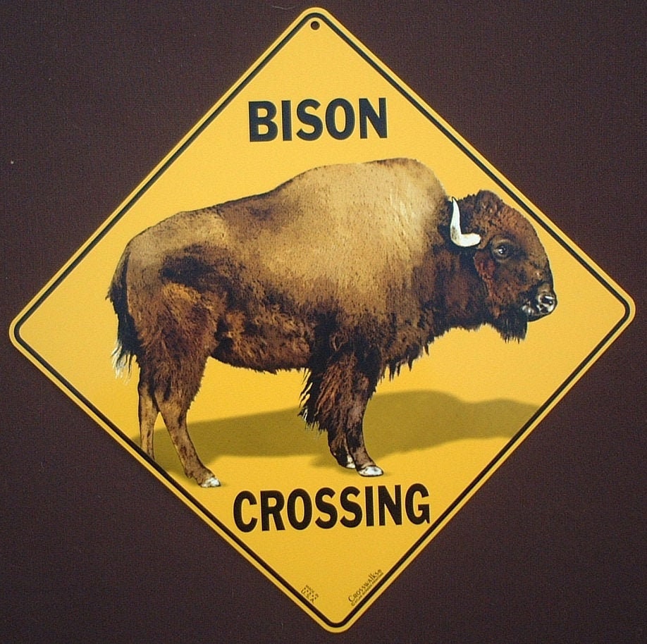 BISON CROSSING SIGN 16 1/2 by 16 1/2 new decor novelty home signs ...