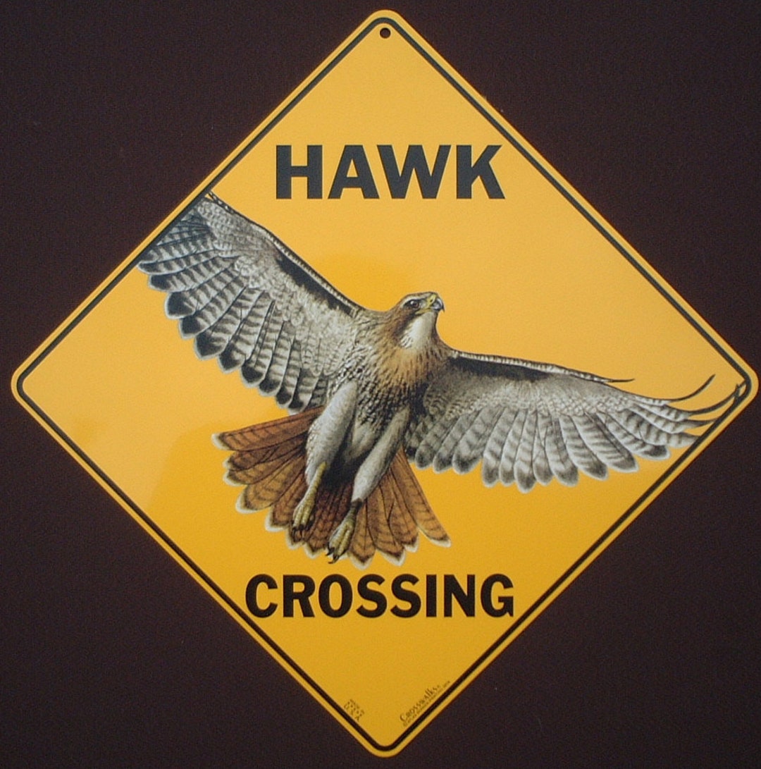 HAWK CROSSING Sign 16 1/2 por 16 1/2 nueva decoración vida silvestre ...