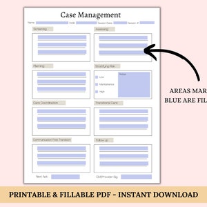 Case Manager Progress Notes, Client Notes, Case Notes, Counseling Notes ...
