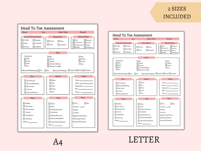 Head to Toe Assessment Template Nursing Checklist Bundle| Nursing ...