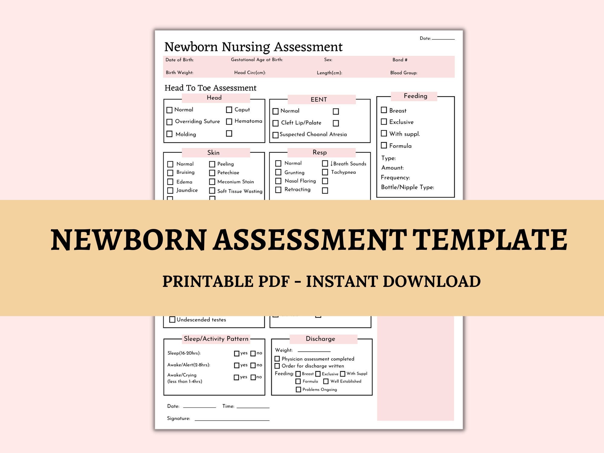 Newborn Head To Toe Assessment Nursing Template Head To Toe Assessment 