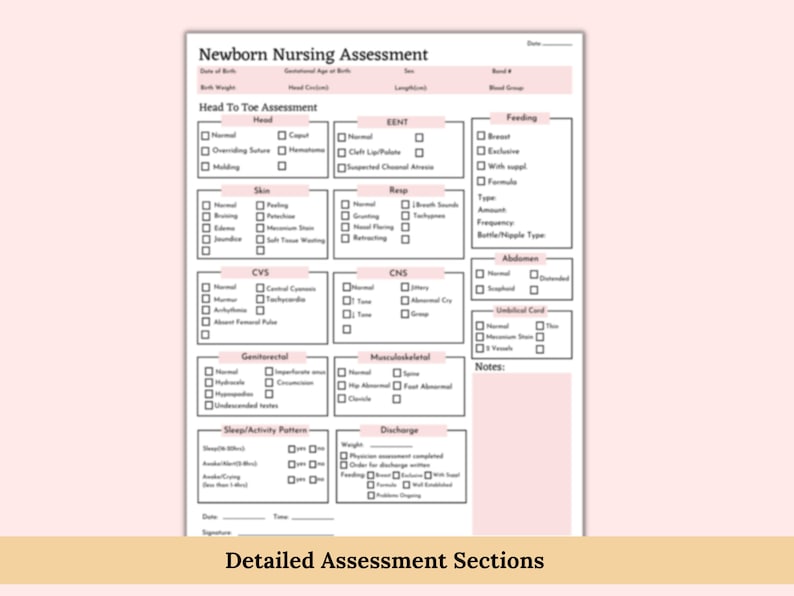 Newborn Head to Toe Assessment Nursing Template, Head to Toe Assessment Nursing Checklist ...