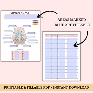 Cranial Nerves, Cranial Nerves Sheet, Cranial Nerves Nursing Study ...