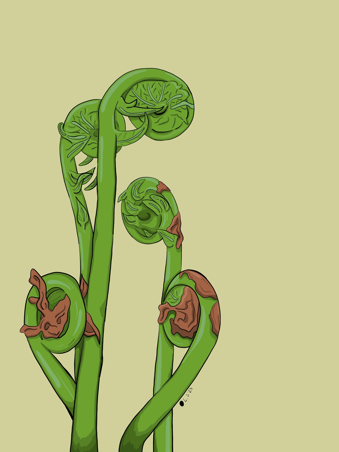 Fiddlehead Digital Art Print | Etsy
