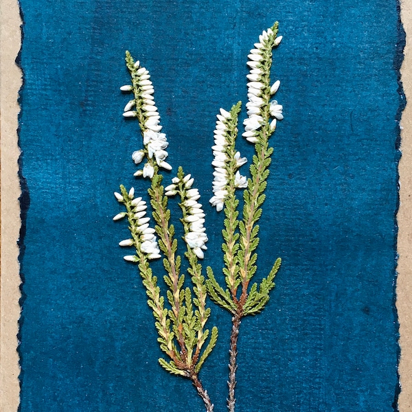 Scottish Heather - Etsy