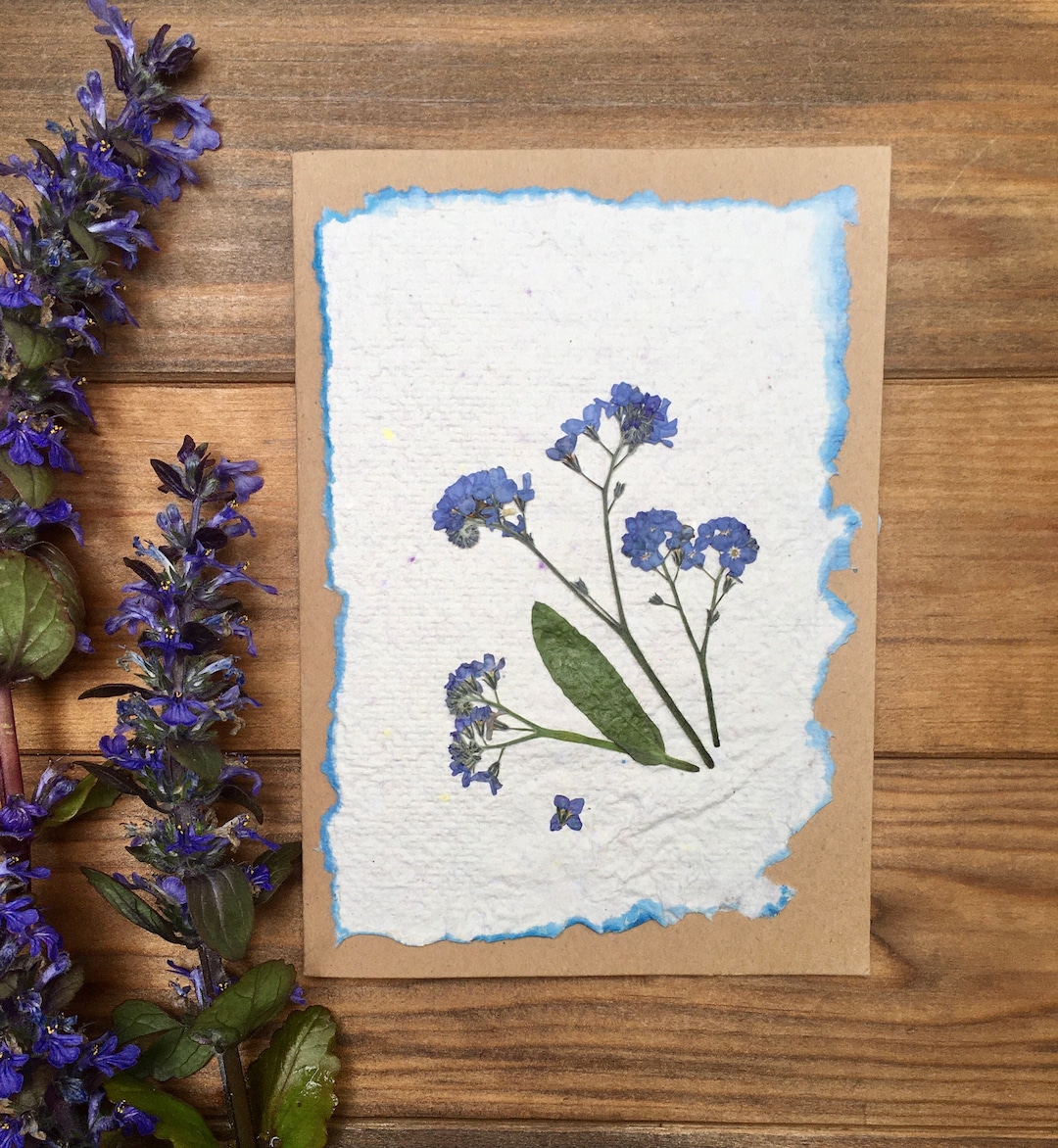 Forget-me-not Card, Pressed Forget Me Nots Bereavement Card, Pressed ...
