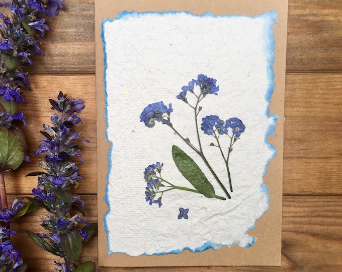 Forget-me-not Card, Pressed Forget Me Nots Bereavement Card, Pressed ...