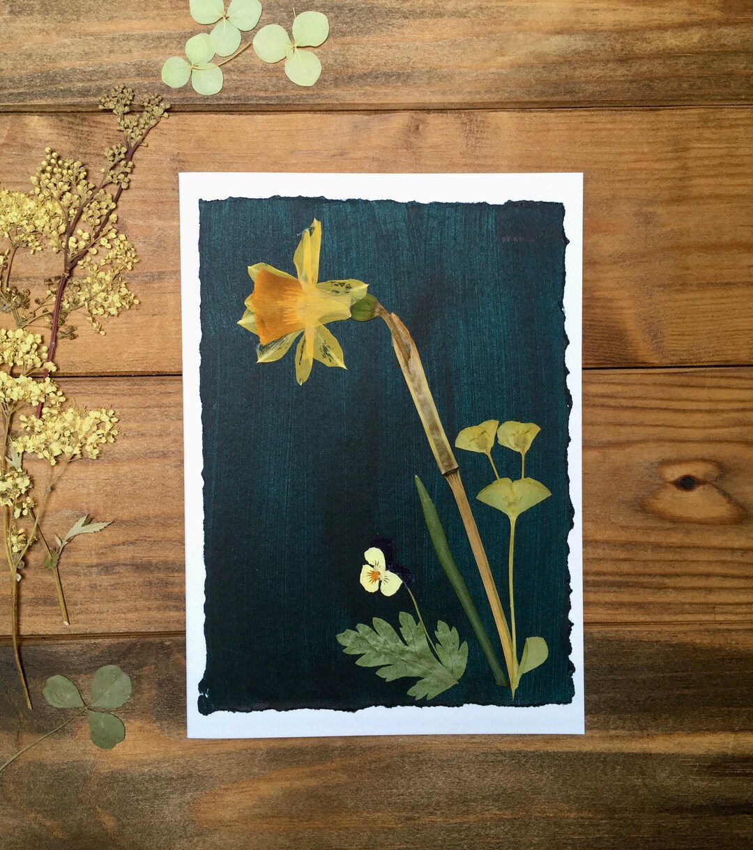 Pressed Daffodil Greetings Card, Real Pressed Tête-à-tête Birthday Card ...