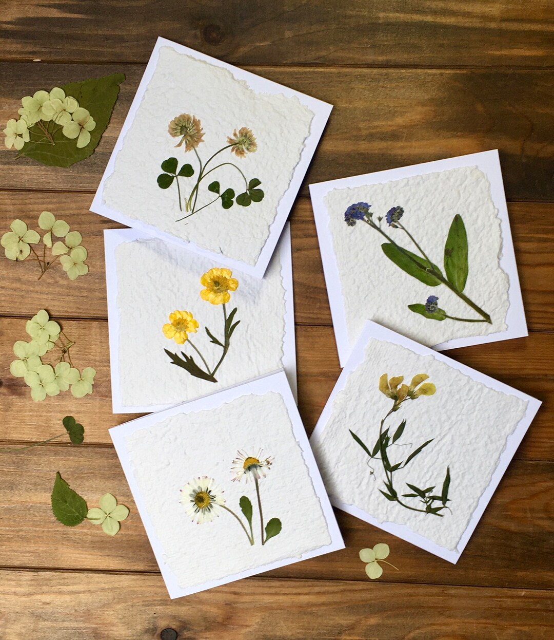Pressed Spring Wildflowers on Handmade Paper, Pressed Flower Stationery ...