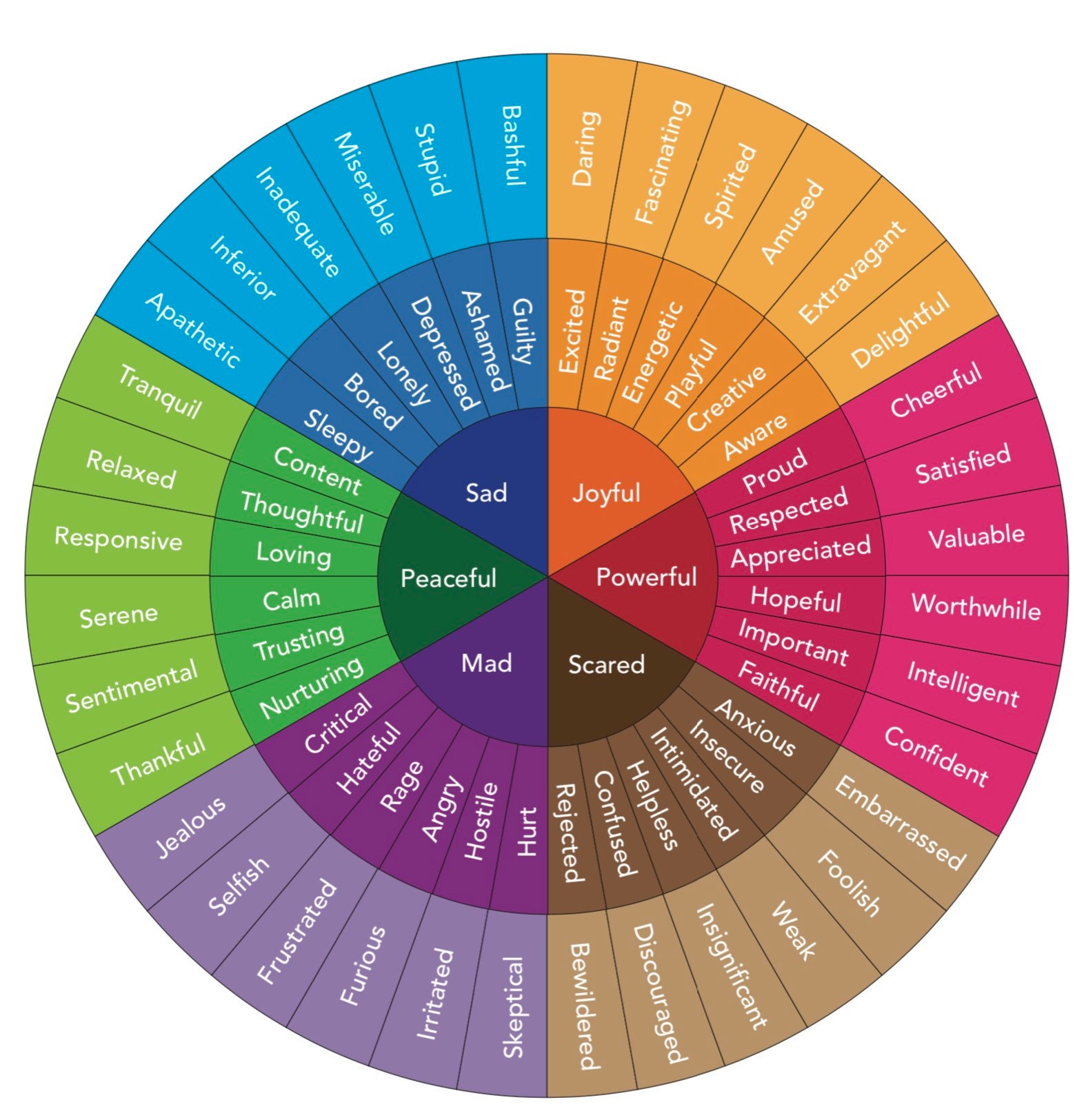 Feelings Wheel Poster