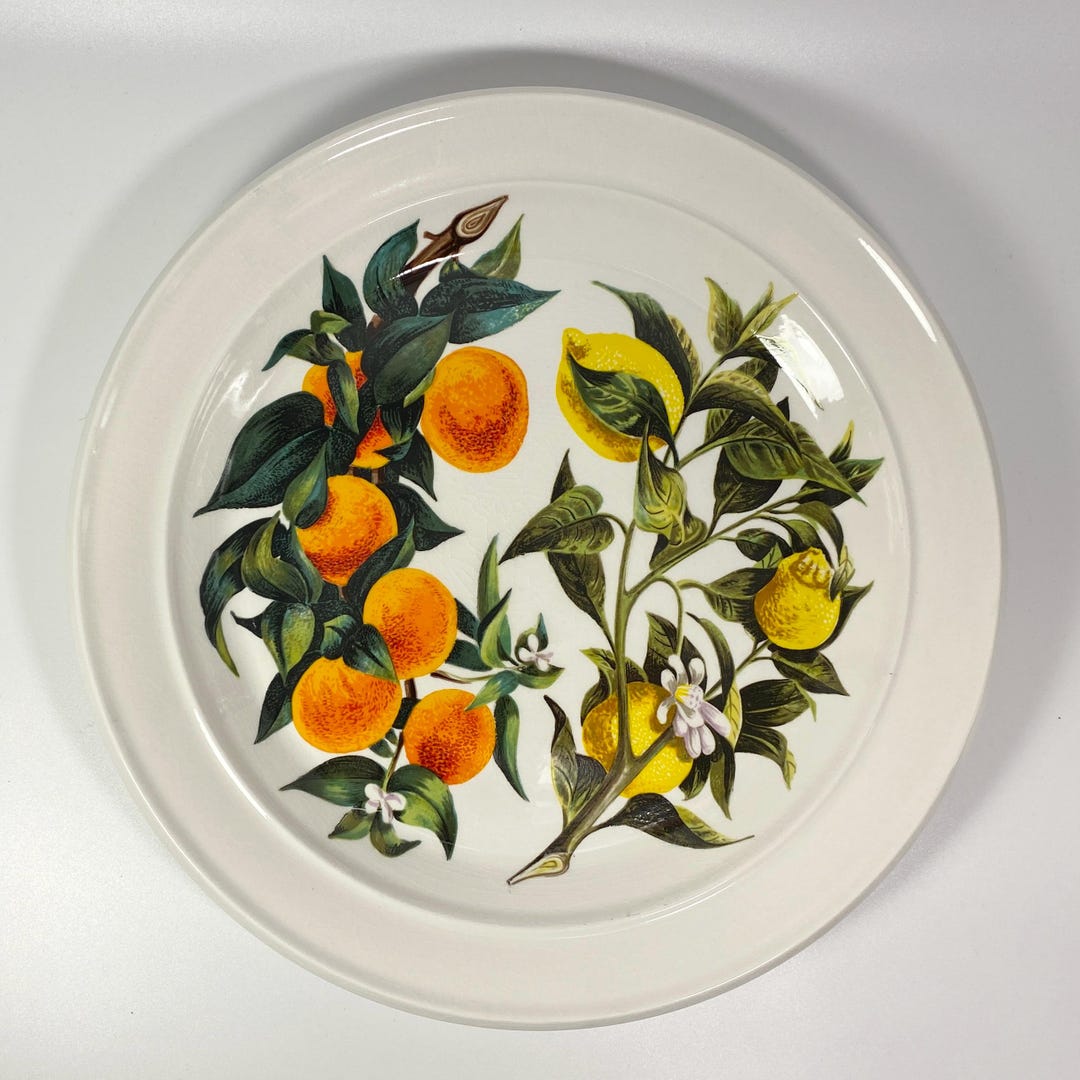 Portmeirion Oranges & Lemons 12 " Serving Platter Susan Williams Ellis ...