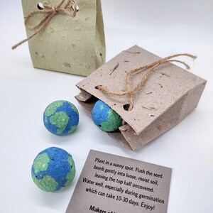 Planet Earth Seed Bomb: US Native Wildflower Pollinator Mix, Eco ...
