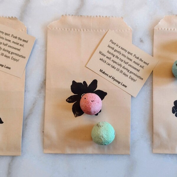 Seed Bombs - Etsy