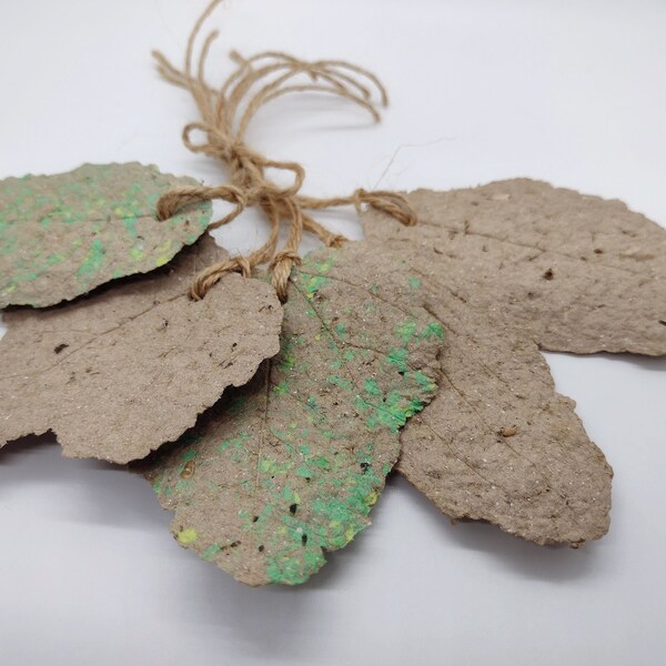 Seed Paper Tags - Etsy
