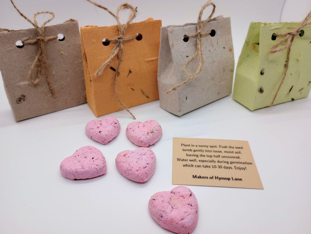 Heart Wildflower Seed Bombs US Native Pollinator Friendly - Etsy