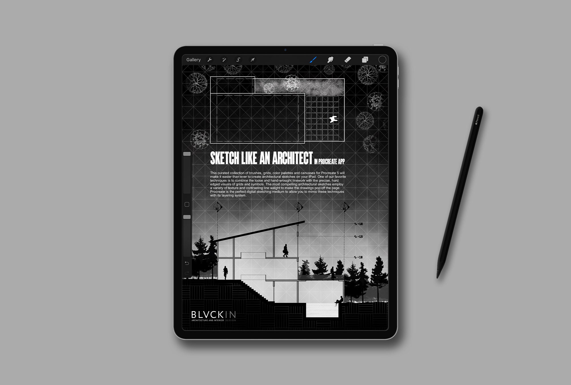 Procreate architecture - gangbery