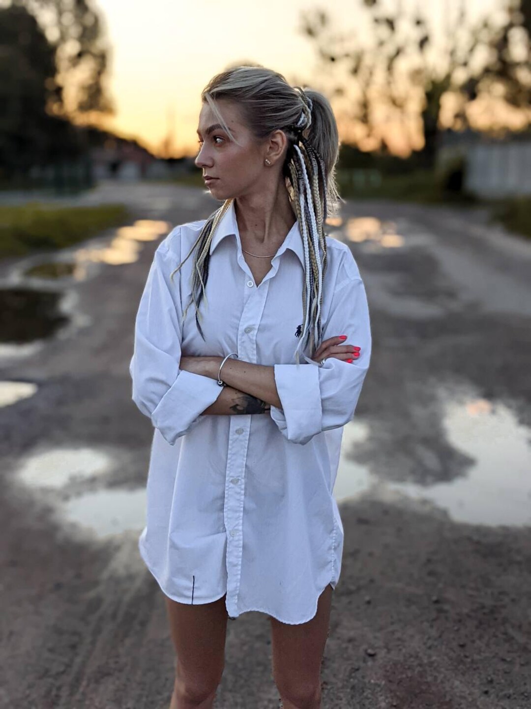 Full Head Set Shades of Blonde and Gray Synthetic Braids, Volume Double ...