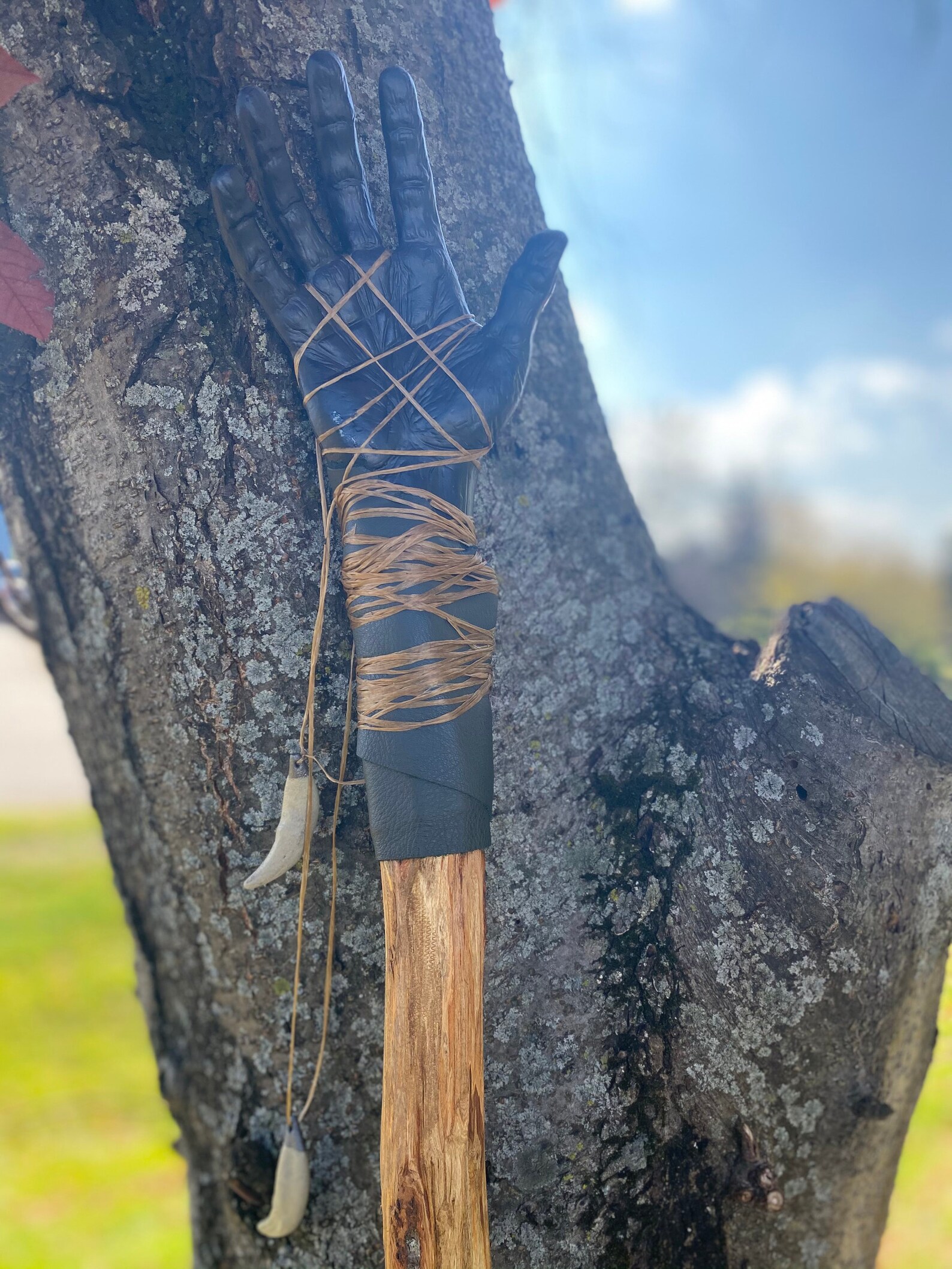 Staff of Withering - Etsy