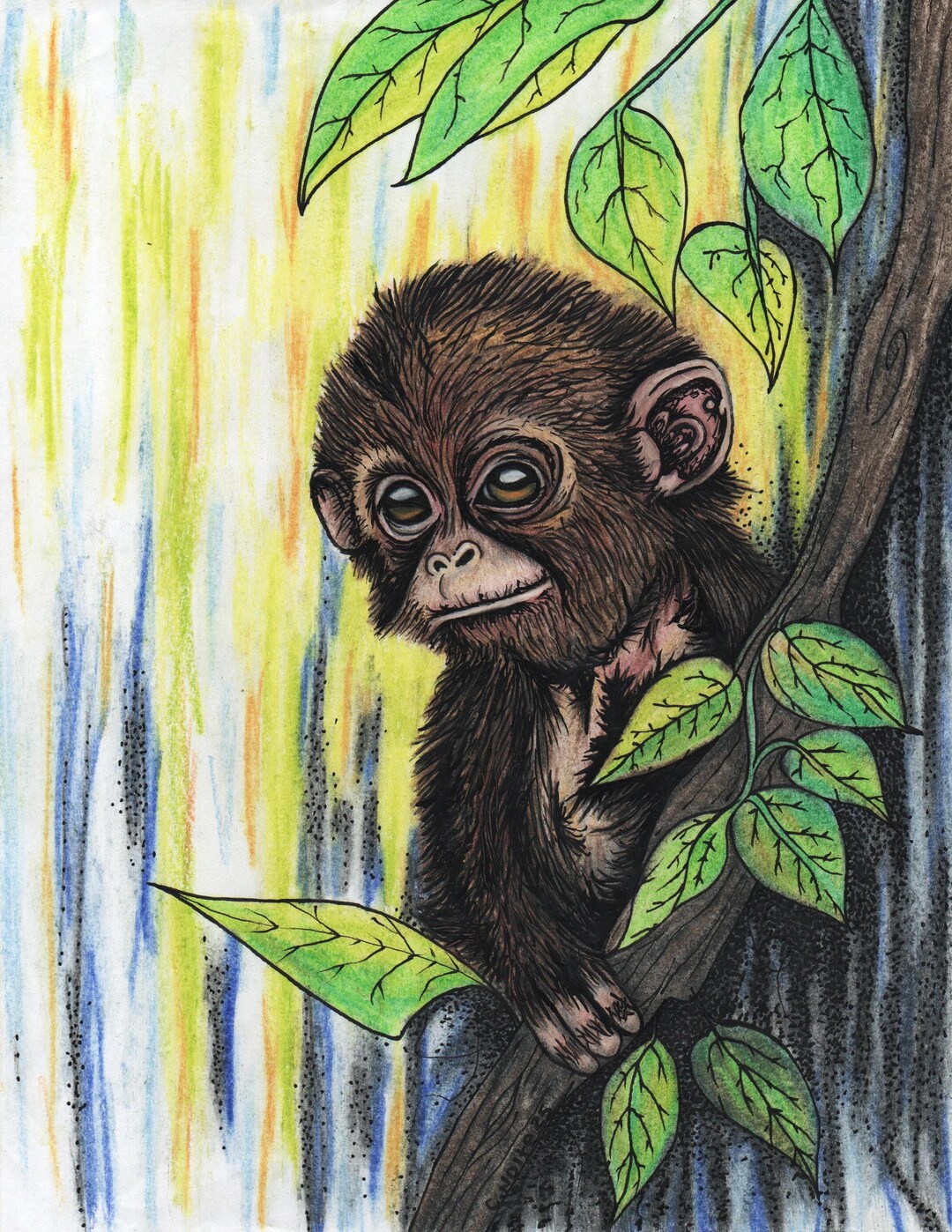 Monkey Colored Pencil Print - Etsy