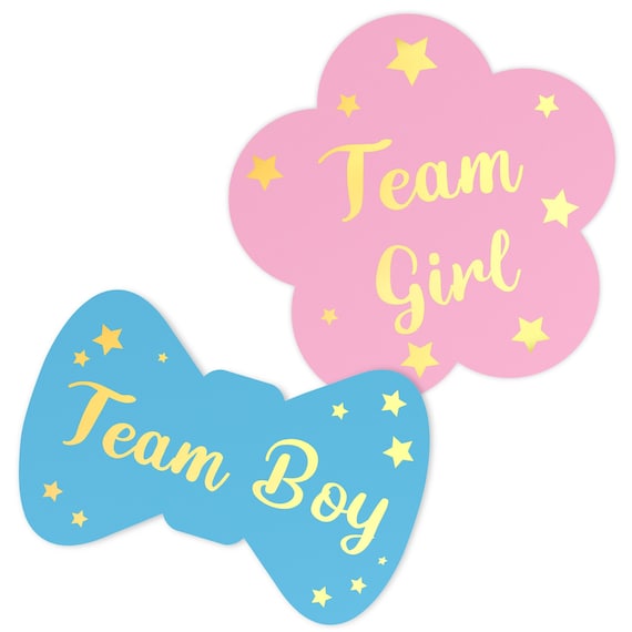 Baby Gender Reveal Stickers, Team Boy Team Girl Labels, 50 Blue 50 Pink ...