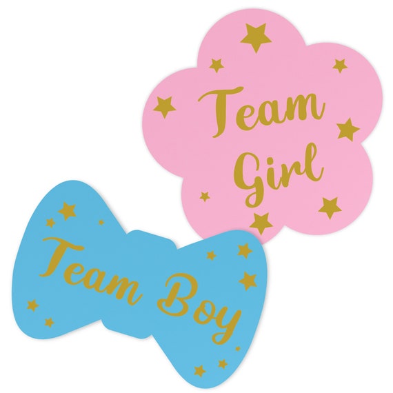 Baby Gender Reveal Stickers, Team Boy Team Girl Labels, 50 Blue 50 Pink ...