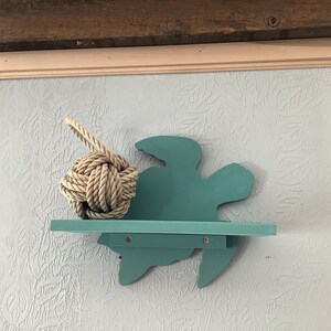 Turtle Shelf, Beach Wall Decor - Etsy