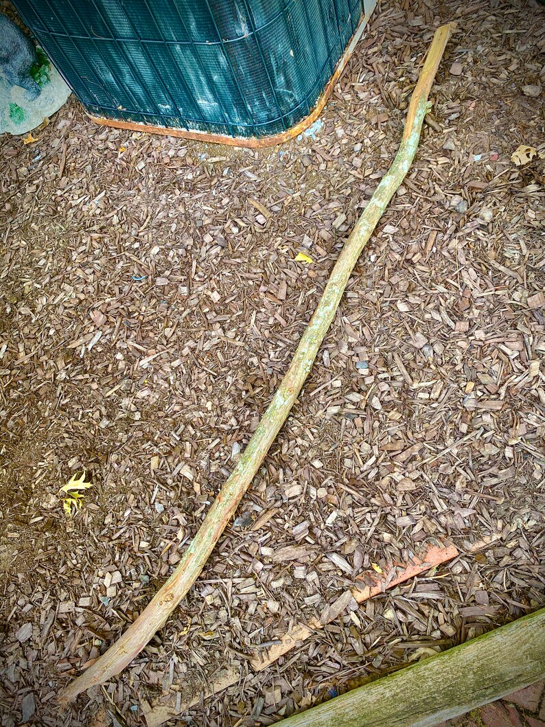 Hiking Stick - Etsy